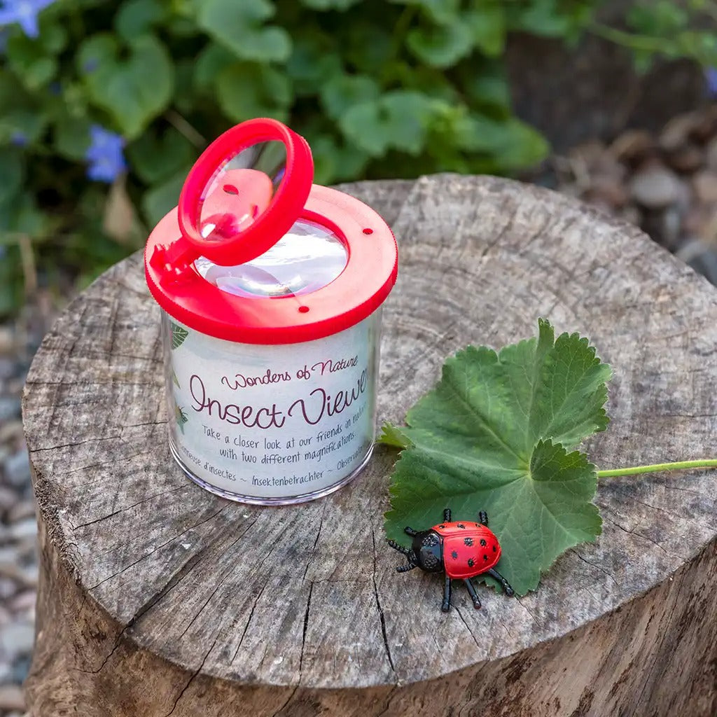 Rex London - Insect Viewer - Wonders Of Nature – Mabel & Fox