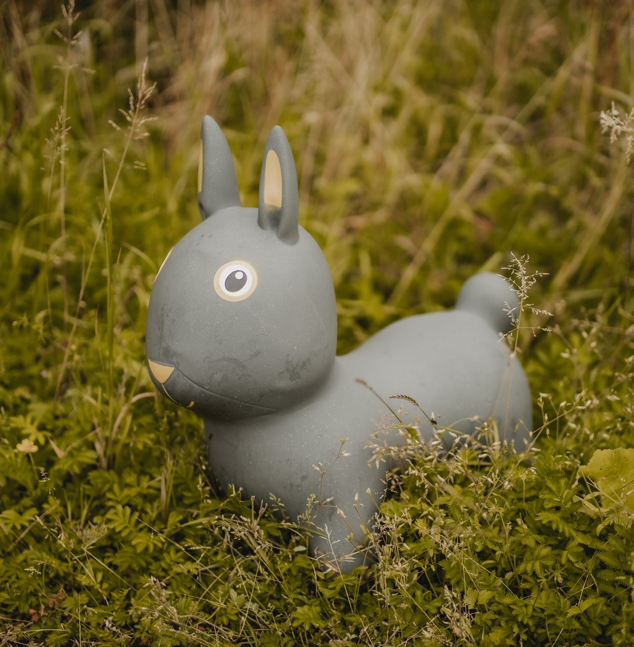 Find That Hippo - Hopping Animal - Rabbit | Mabel & Fox