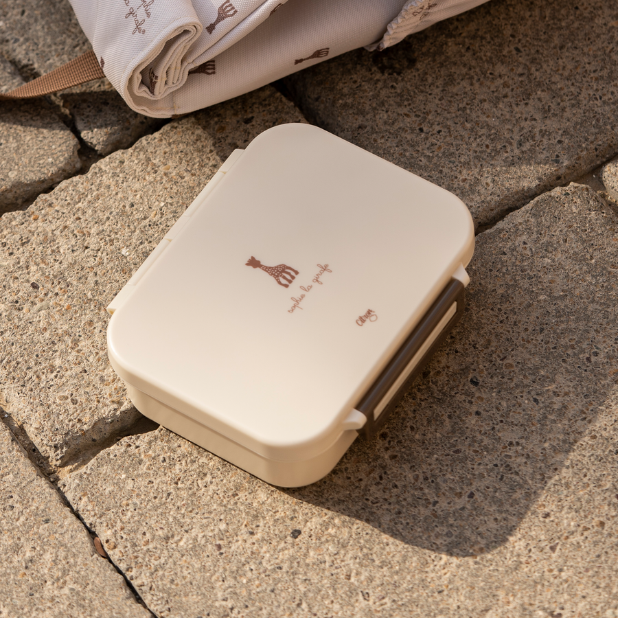 Lunch & Snack Boxes – Mabel & Fox