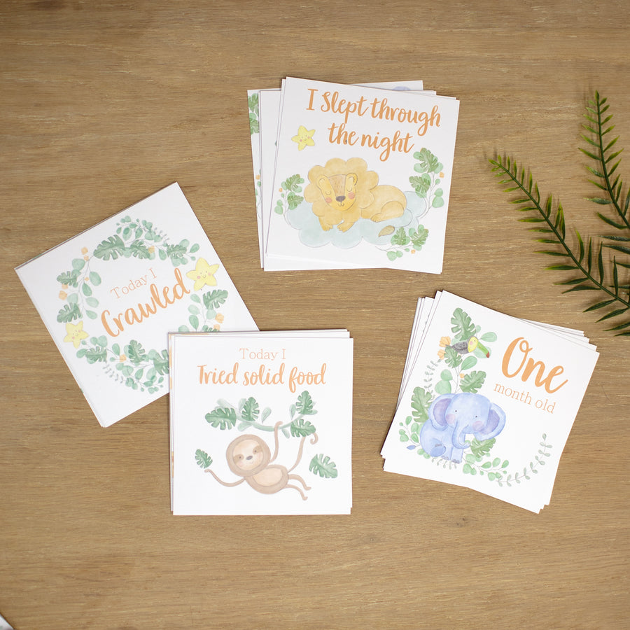 Mabel & Fox - Milestone Cards - Safari | Mabel & Fox