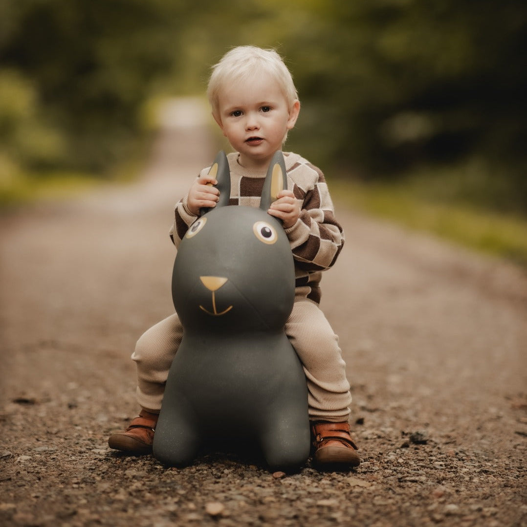 Find That Hippo - Hopping Animal - Rabbit | Mabel & Fox